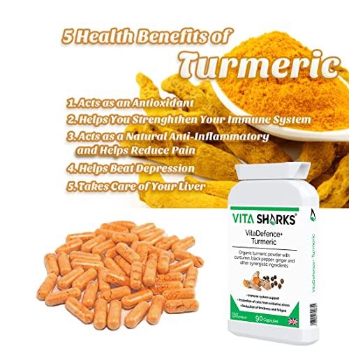 turmeric capsules for digestive health