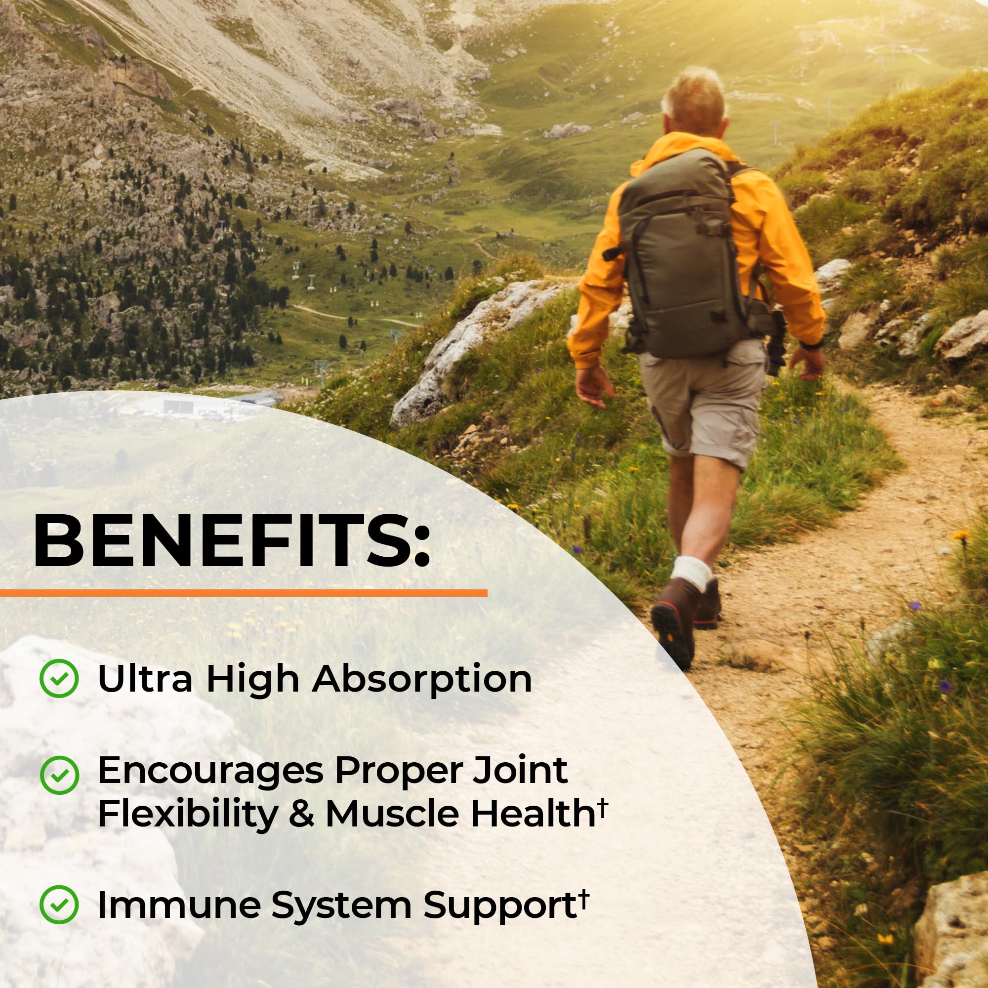 turmeric capsules for digestive health
