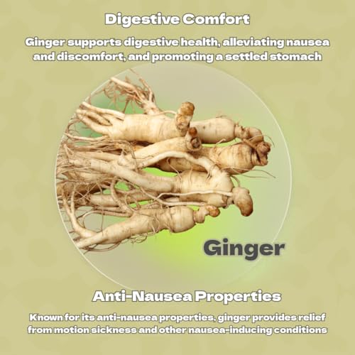 turmeric capsules for everyday wellness