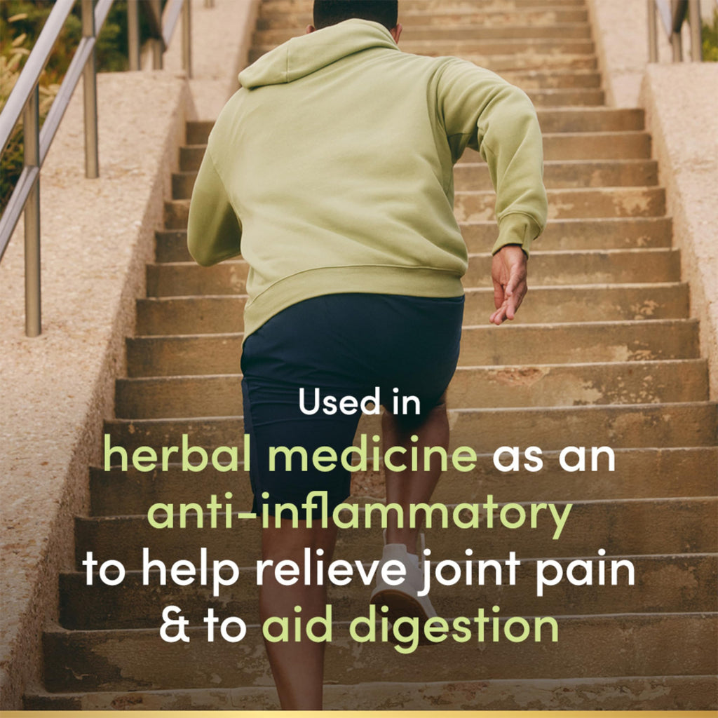 turmeric capsules for healthy inflammation response