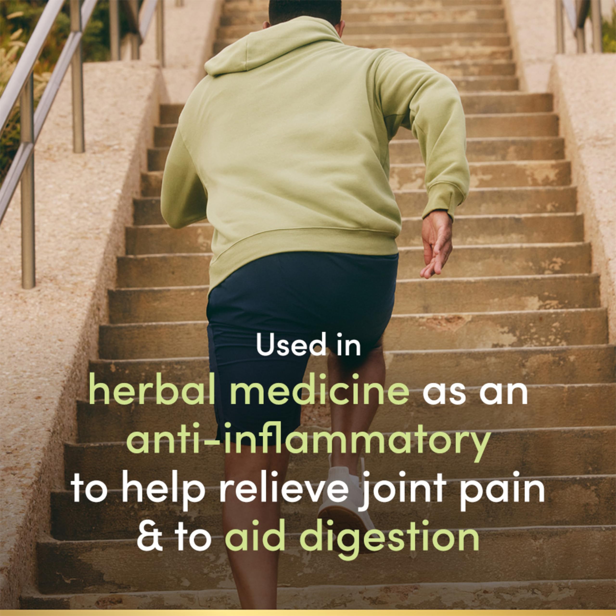 turmeric capsules for healthy inflammation response
