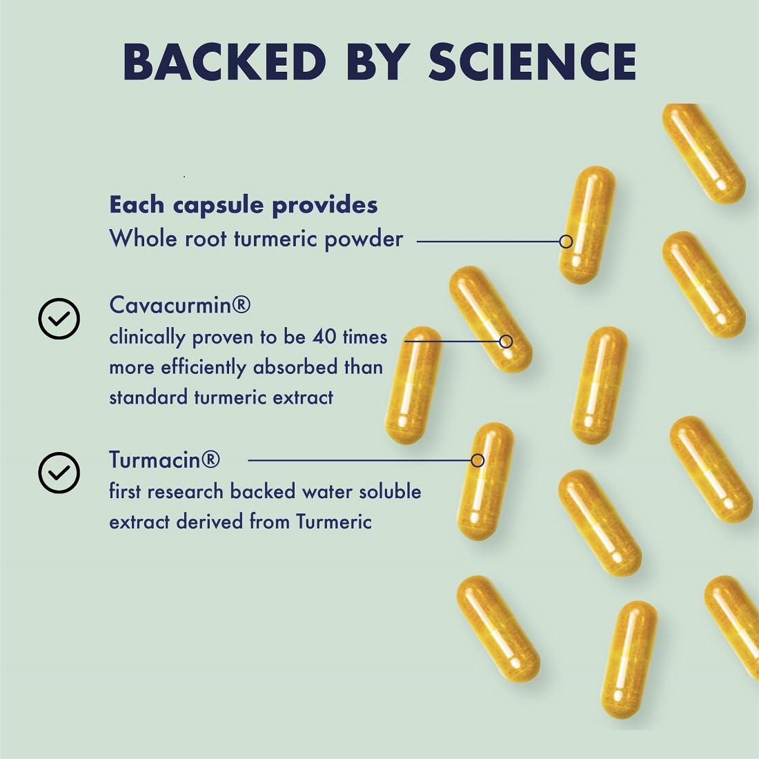 turmeric capsules for inflammation relief