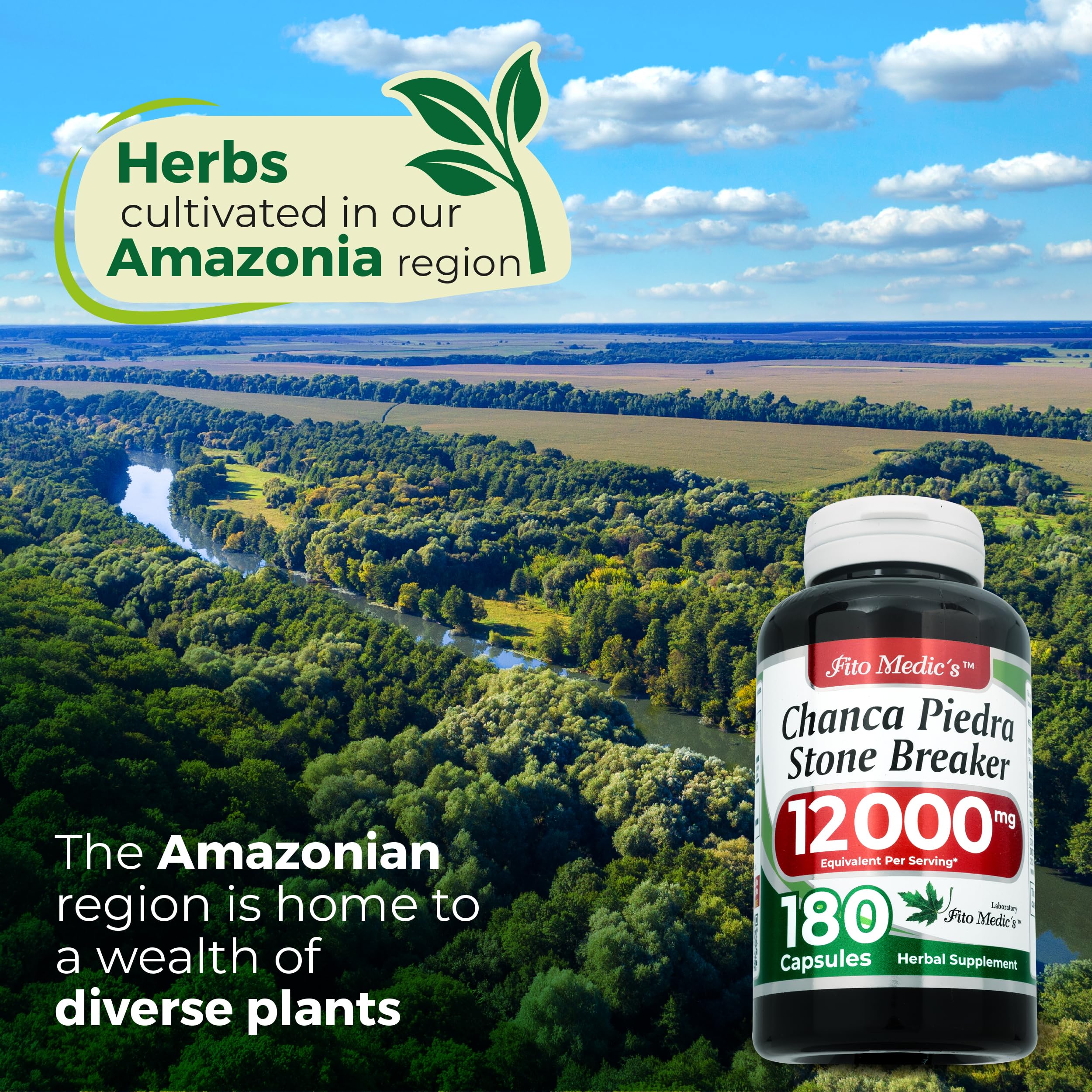 turmeric capsules for joint support