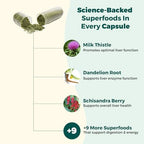 turmeric capsules for liver health