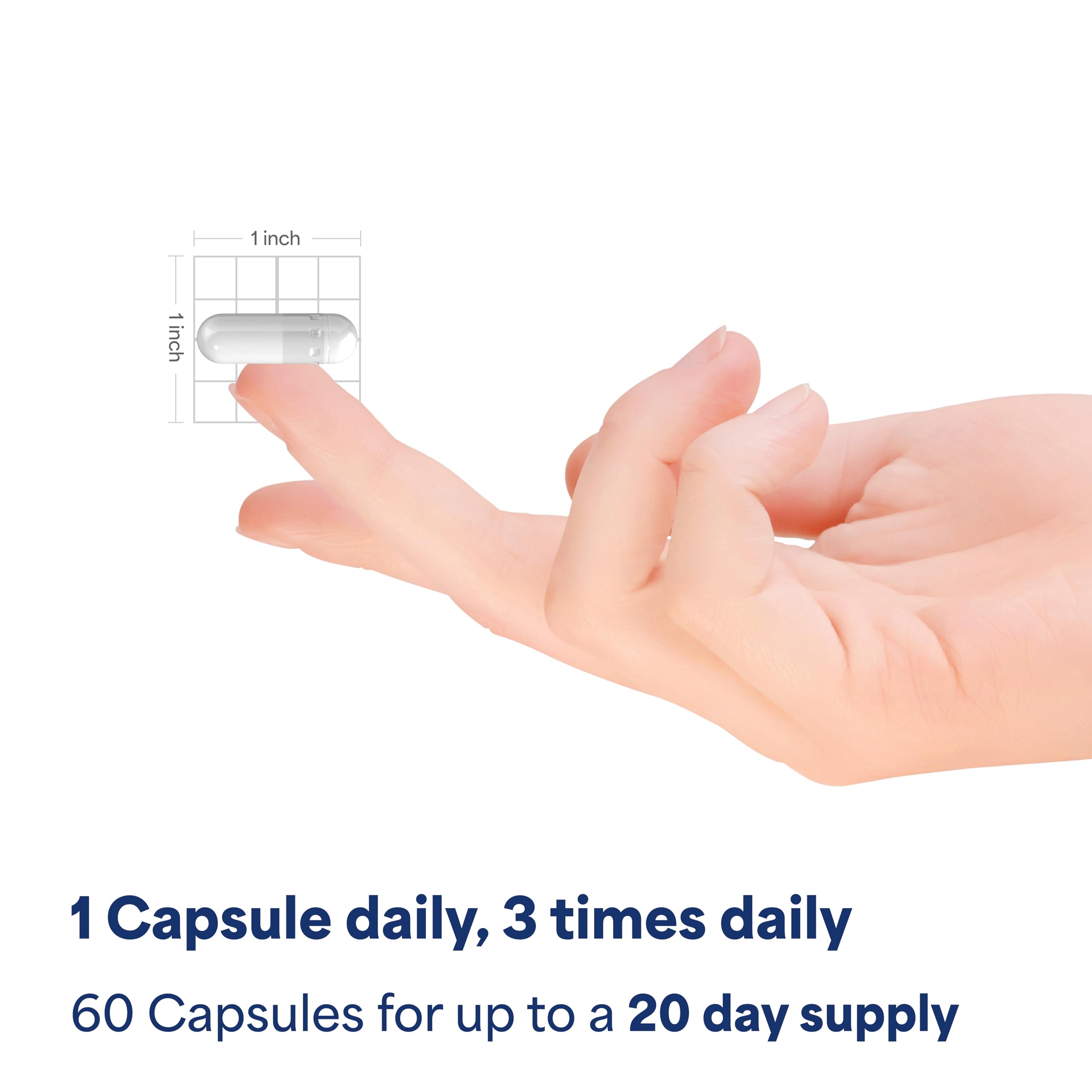 turmeric capsules for overall wellness
