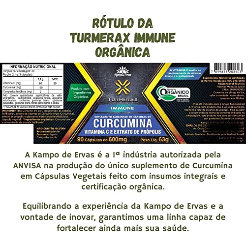 turmeric capsules for overall wellness