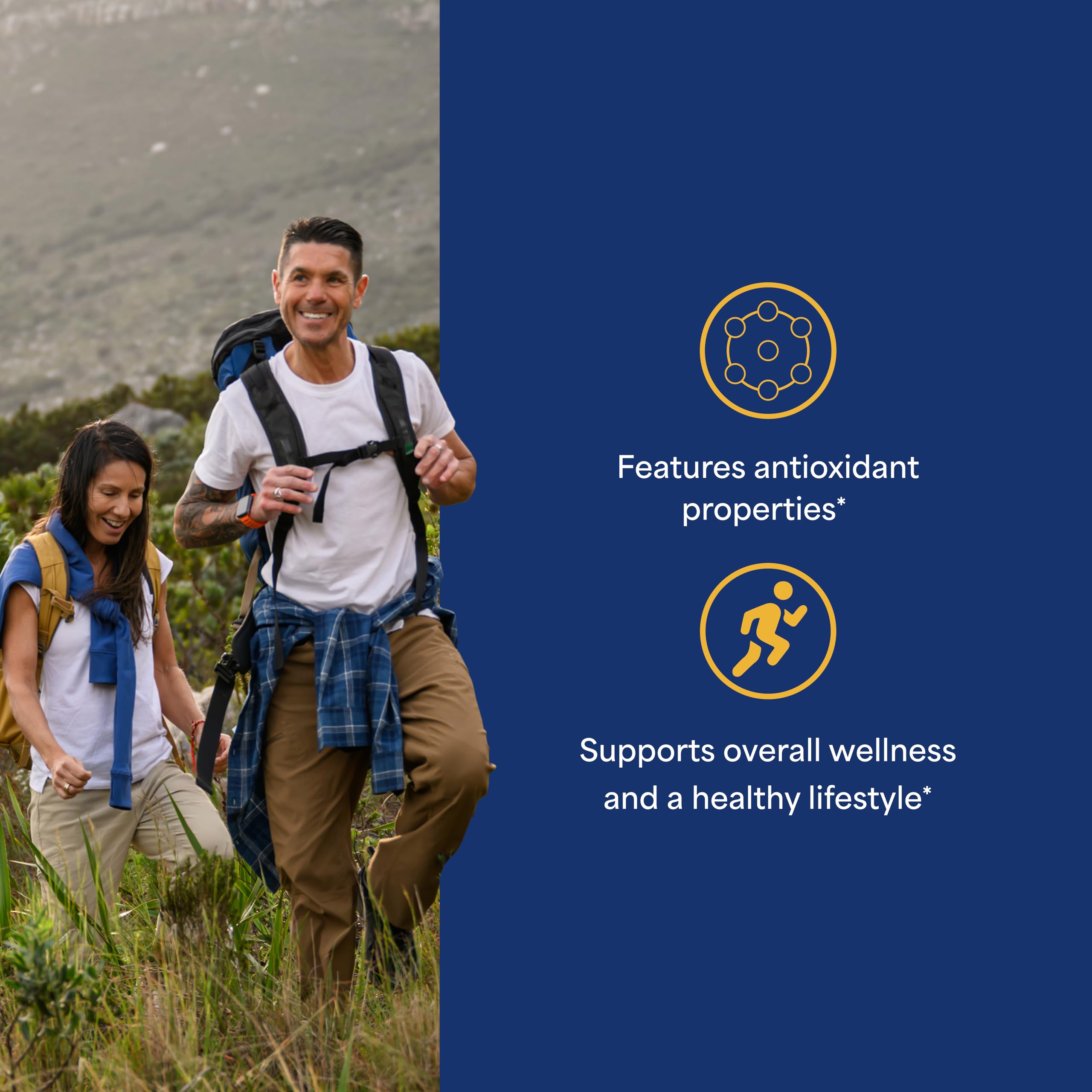 turmeric capsules for overall wellness