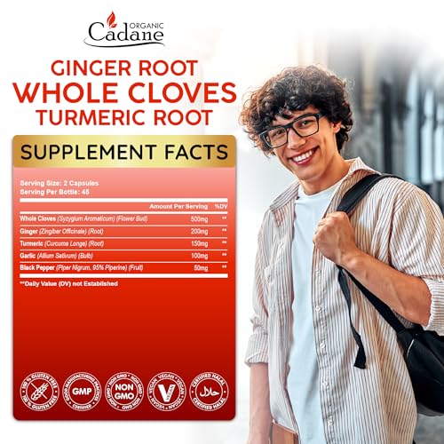 turmeric curcumin blend for wellness