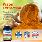 turmeric curcumin for daily health