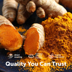 turmeric curcumin for daily vitality