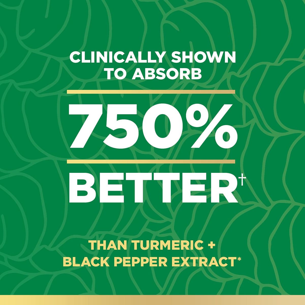 turmeric curcumin for daily wellness