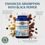 turmeric curcumin for digestive health
