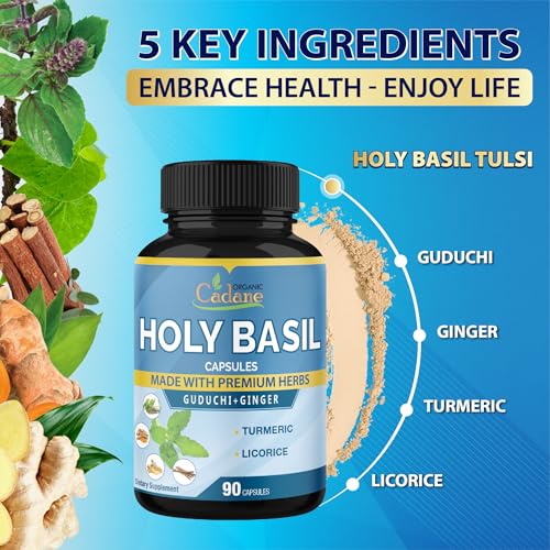 turmeric curcumin for energy enhancement