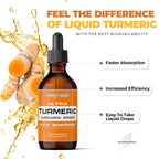 turmeric curcumin for healthy digestion