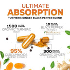 turmeric curcumin for immune health