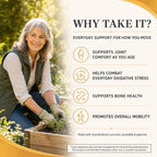 Turmeric curcumin for immune support