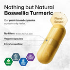 turmeric curcumin for inflammation relief