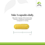 Turmeric curcumin for inflammation support