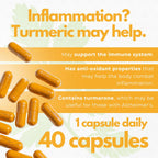turmeric curcumin for joint health