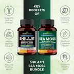 turmeric curcumin for joint health