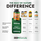 turmeric curcumin for joint health