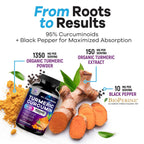 turmeric curcumin for joint health