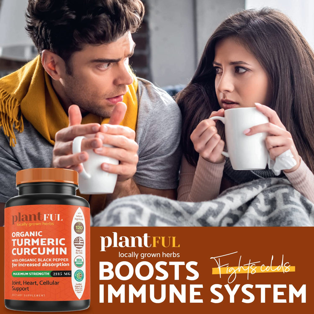 turmeric curcumin for joint support