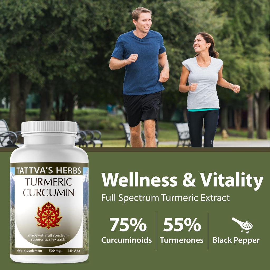 turmeric curcumin for joint support