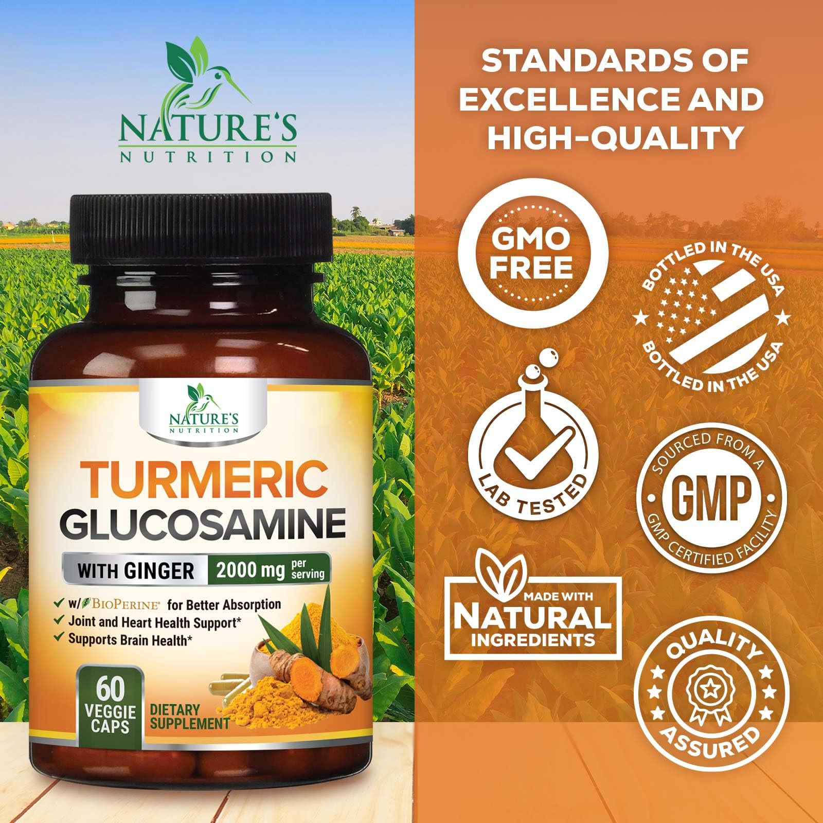turmeric curcumin for joint support