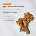 turmeric curcumin for joint support
