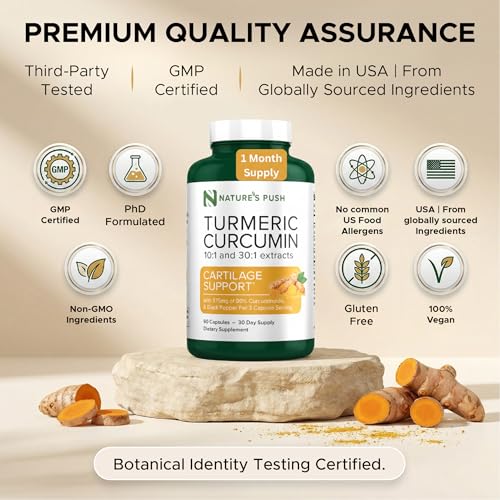 turmeric curcumin for joint support