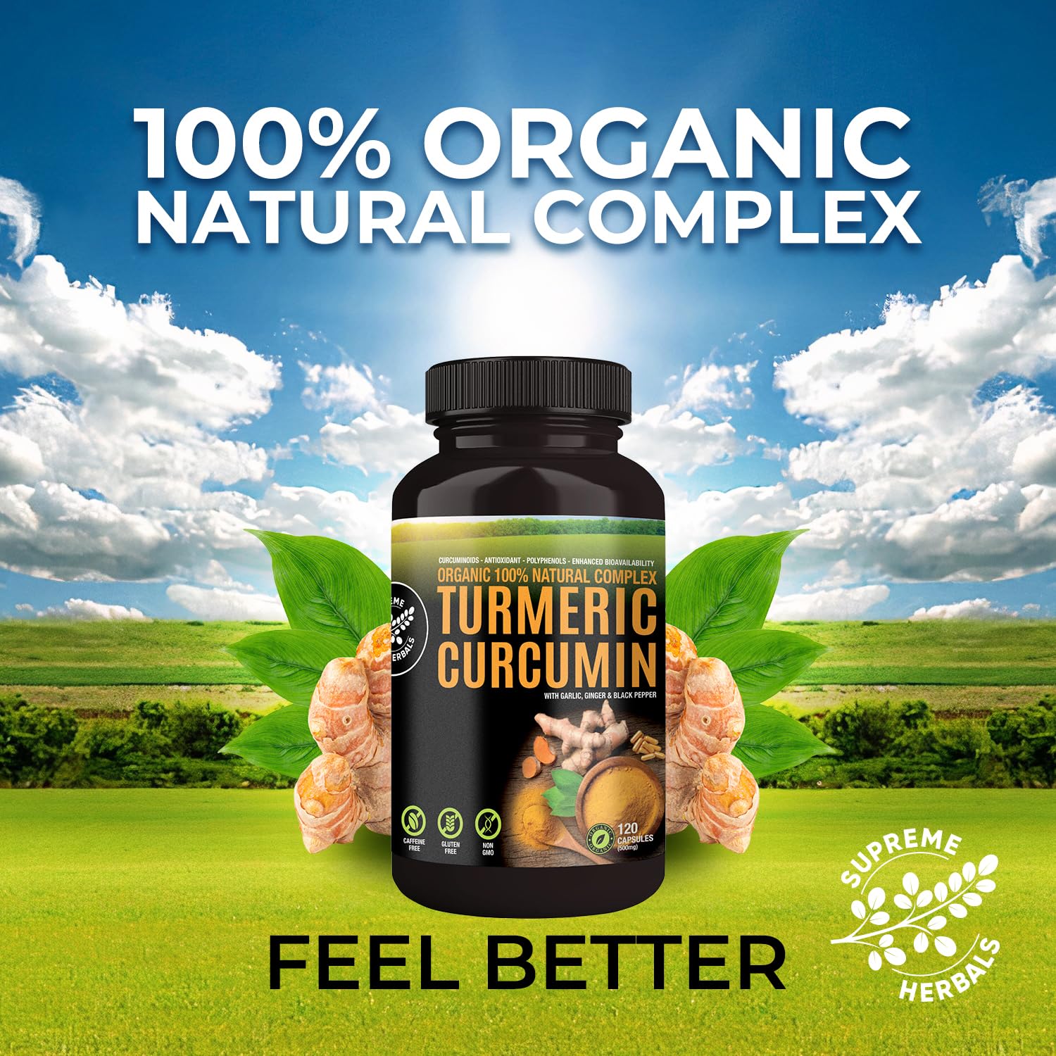turmeric curcumin for joint support