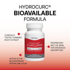turmeric curcumin for joint support
