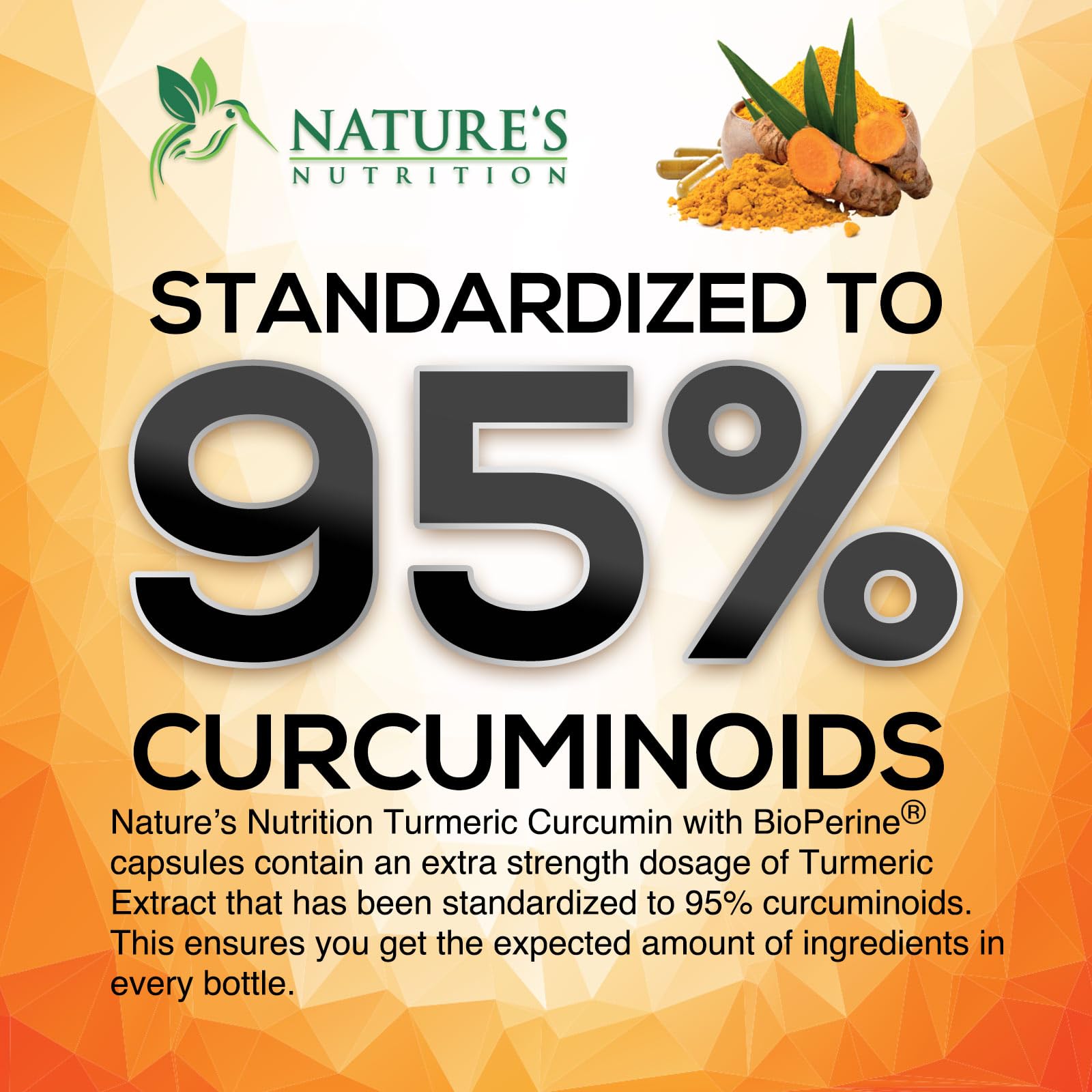 turmeric curcumin for joint support