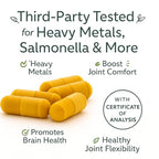 turmeric curcumin for joint support