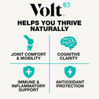 turmeric curcumin for joint support