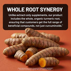 turmeric curcumin for joint support