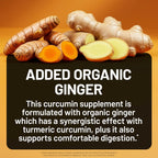 turmeric curcumin for joint support