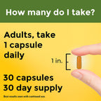 turmeric curcumin for joint support