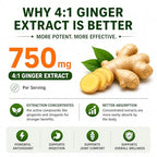 turmeric curcumin for joint support