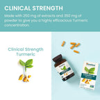 turmeric curcumin for joint support