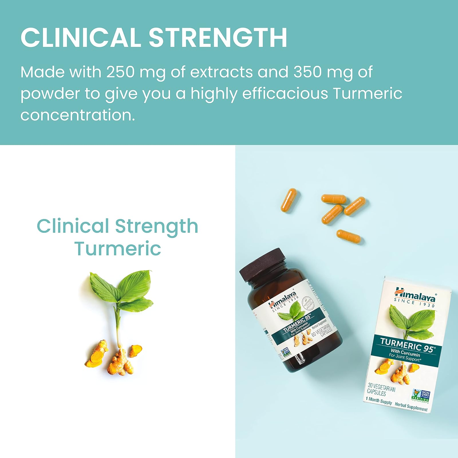 turmeric curcumin for joint support