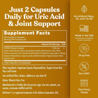 turmeric & curcumin for overall wellness