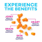 Turmeric curcumin gummies for joint support
