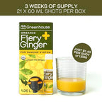 turmeric curcumin health booster