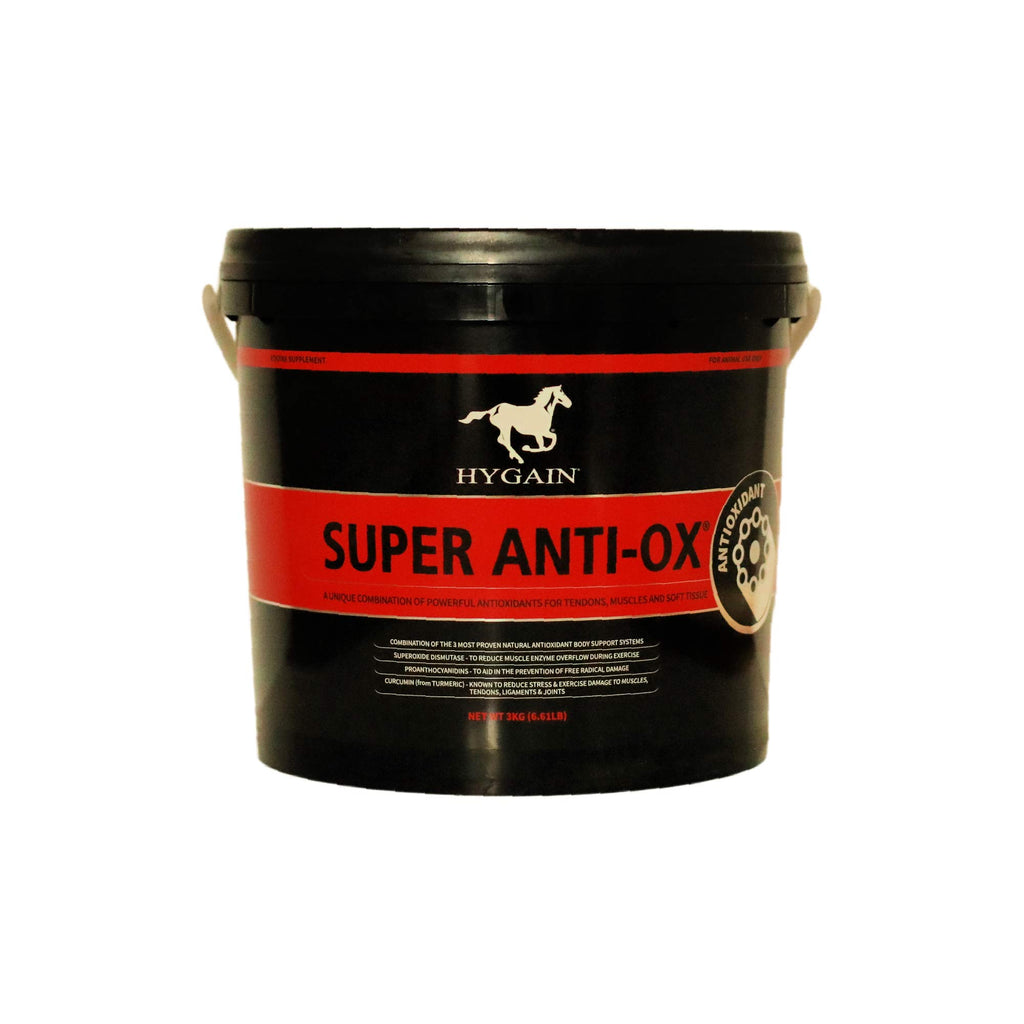 turmeric curcumin supplement for horses
