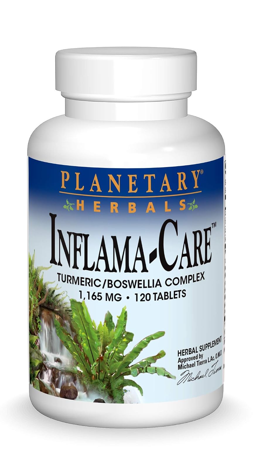 turmeric curcumin supplement for joint health