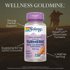 turmeric curcumin supplement for wellness