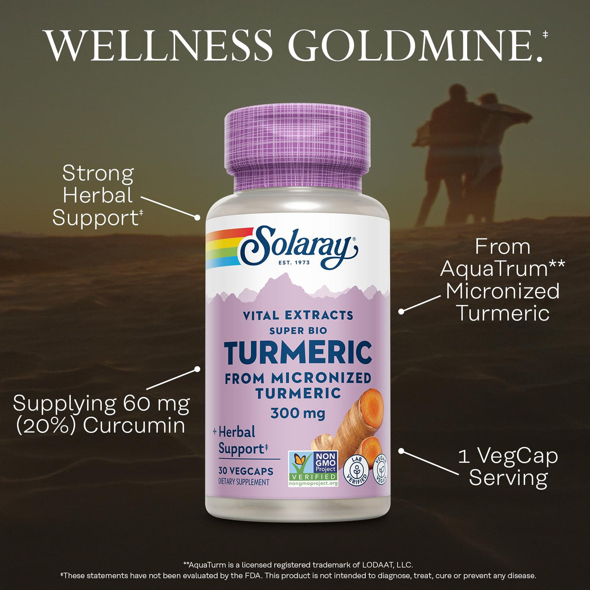 turmeric curcumin supplement for wellness