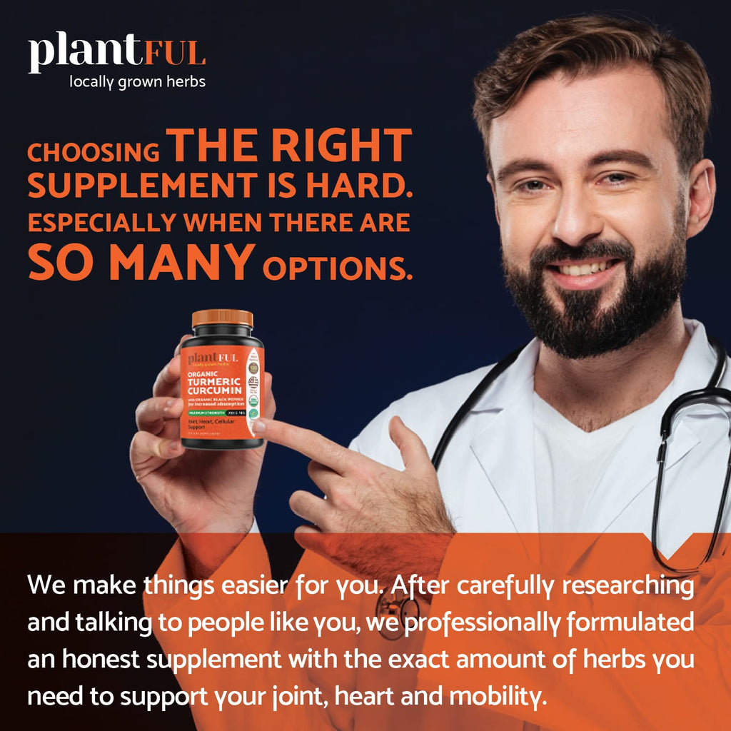turmeric curcumin supplement for wellness